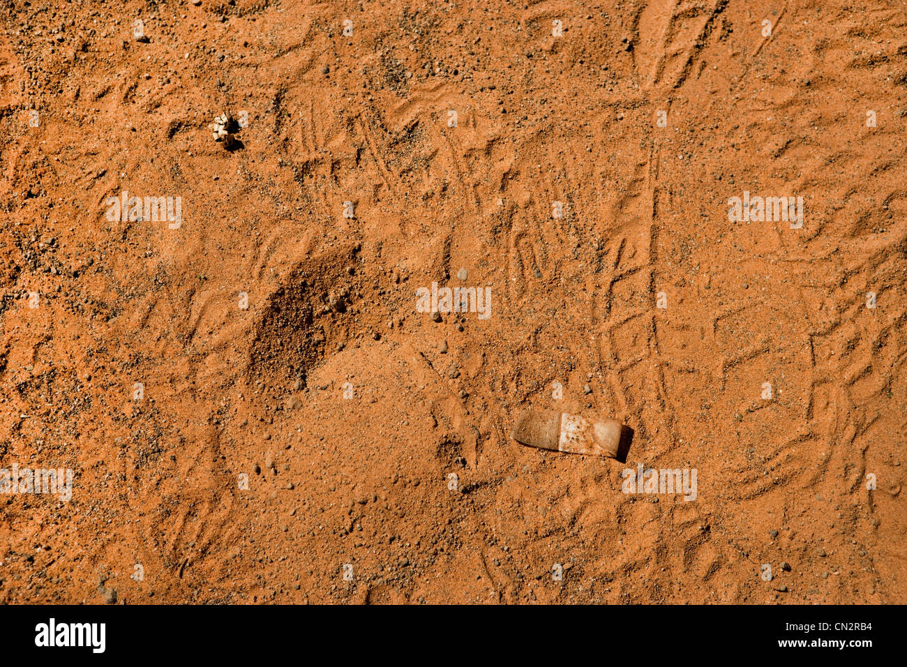 Used adhesive plaster in the dirt, overhead view Stock Photo - Alamy