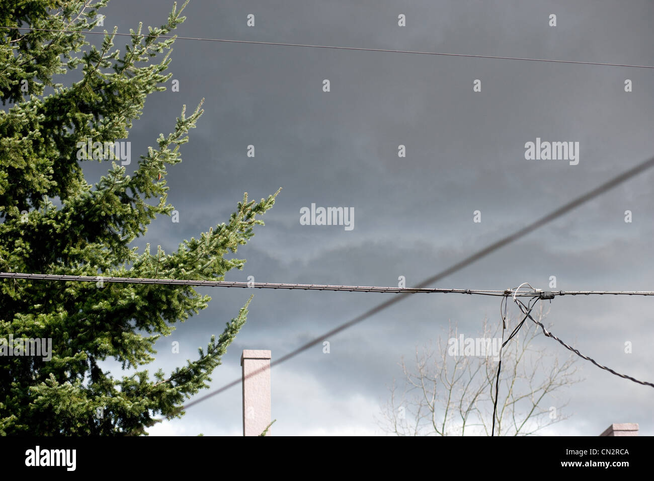 Clouds over trees hi-res stock photography and images - Alamy
