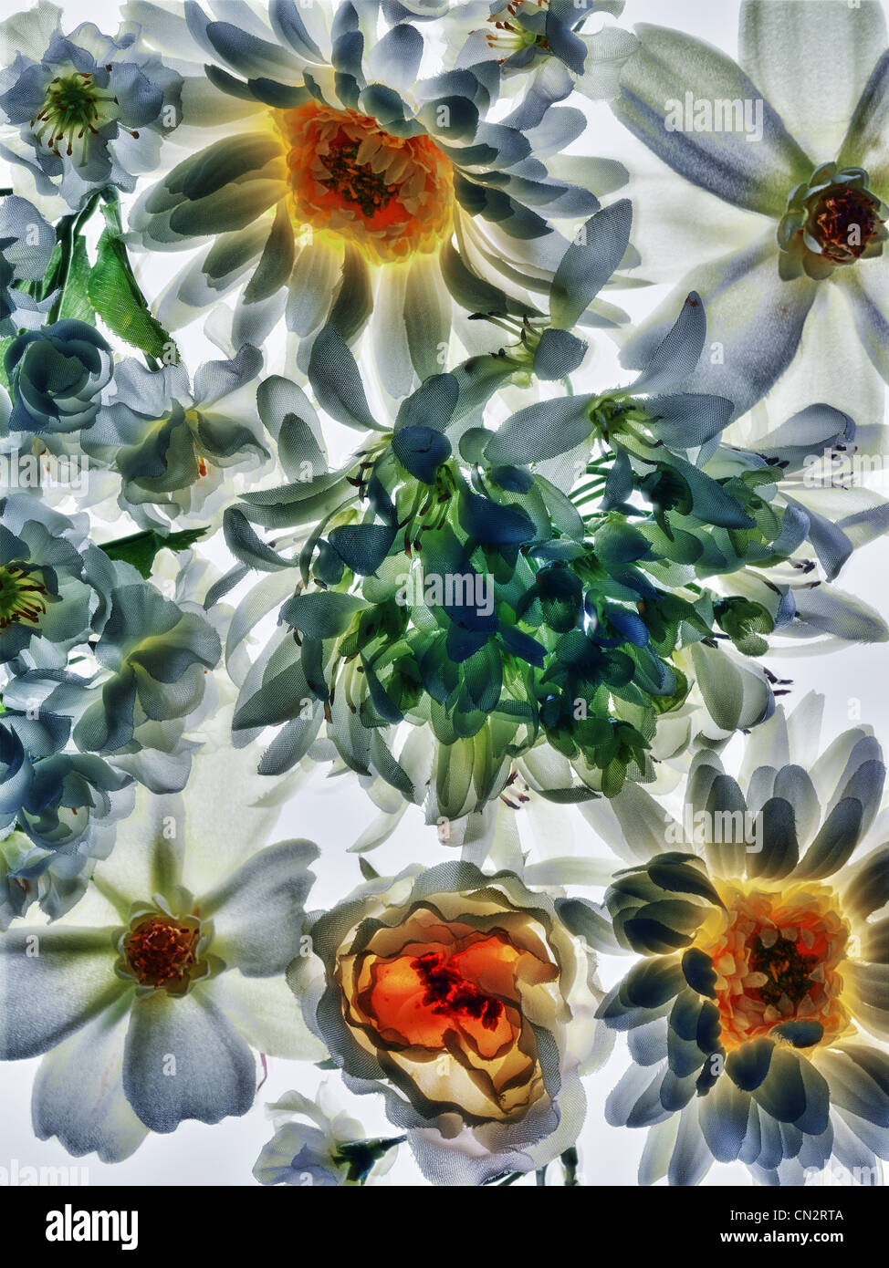 Still life backlit hi-res stock photography and images - Alamy