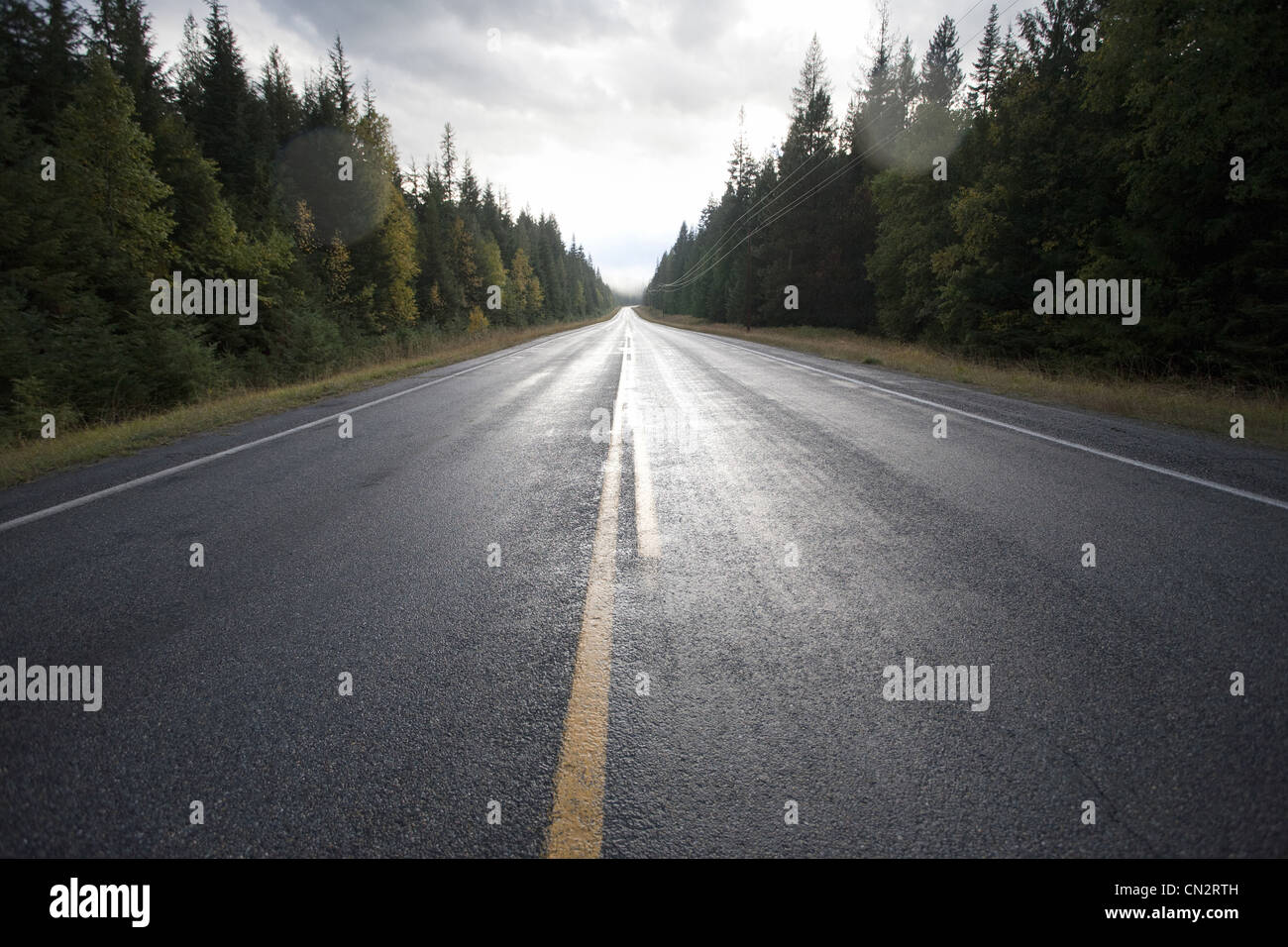 Rural Road Through Forest on Rainy Day, Montana, USA Stock Photo - Alamy
