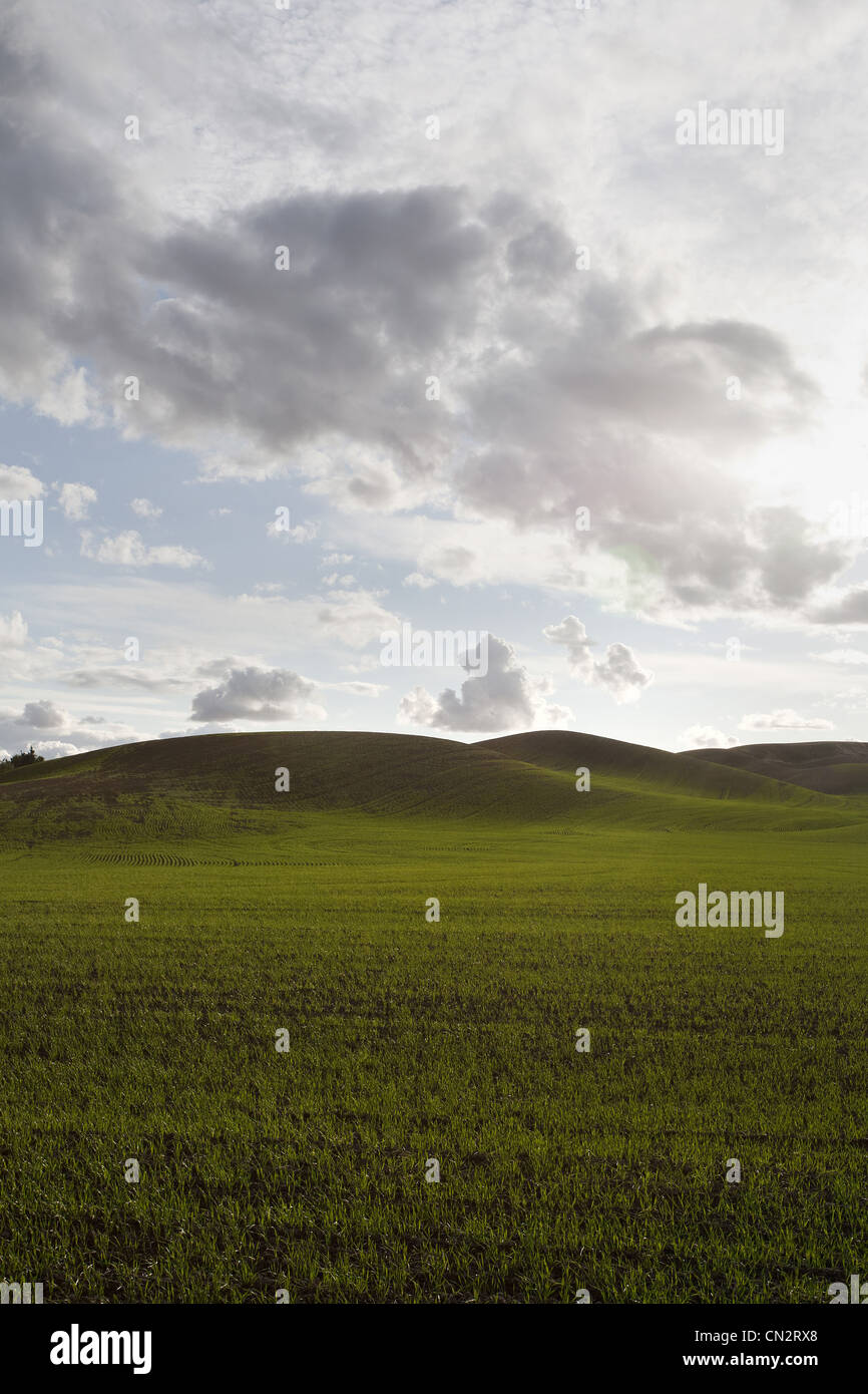 Field and hills hi-res stock photography and images - Alamy