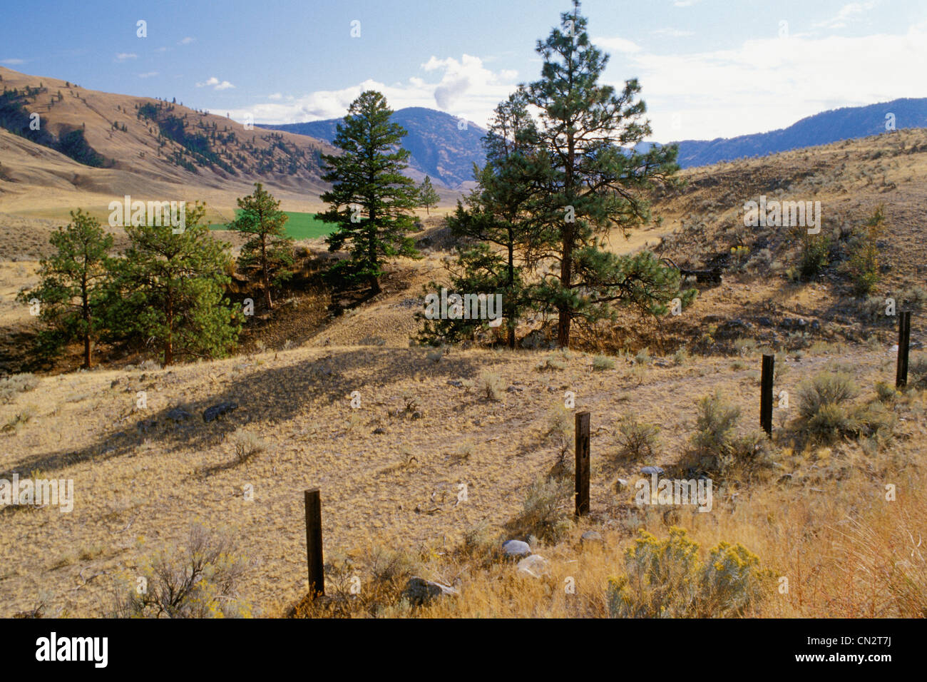 Pocket desert hi-res stock photography and images - Alamy
