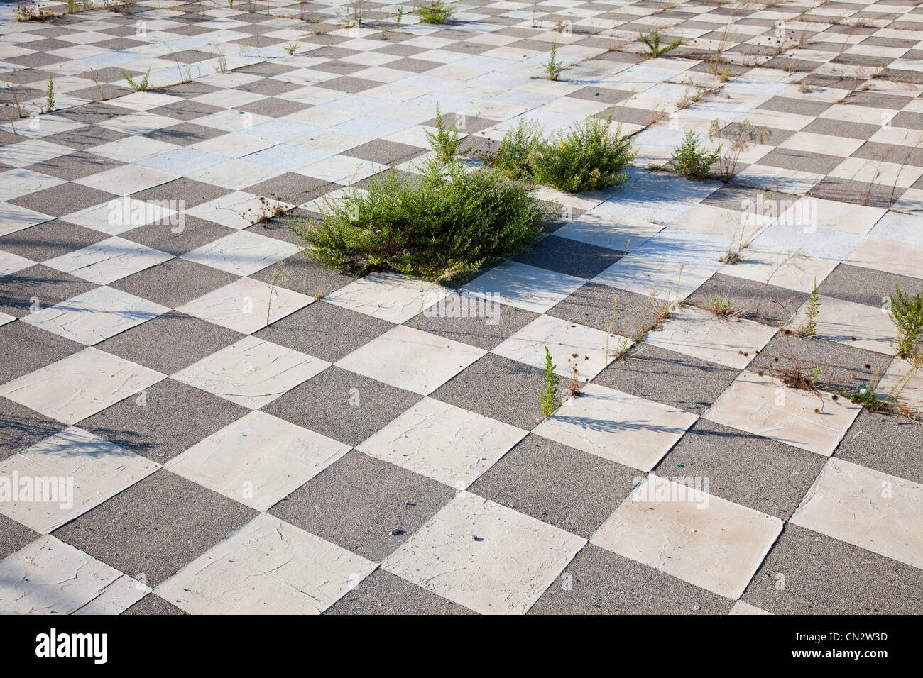 Plants growing through tiled floor Stock Photo - Alamy