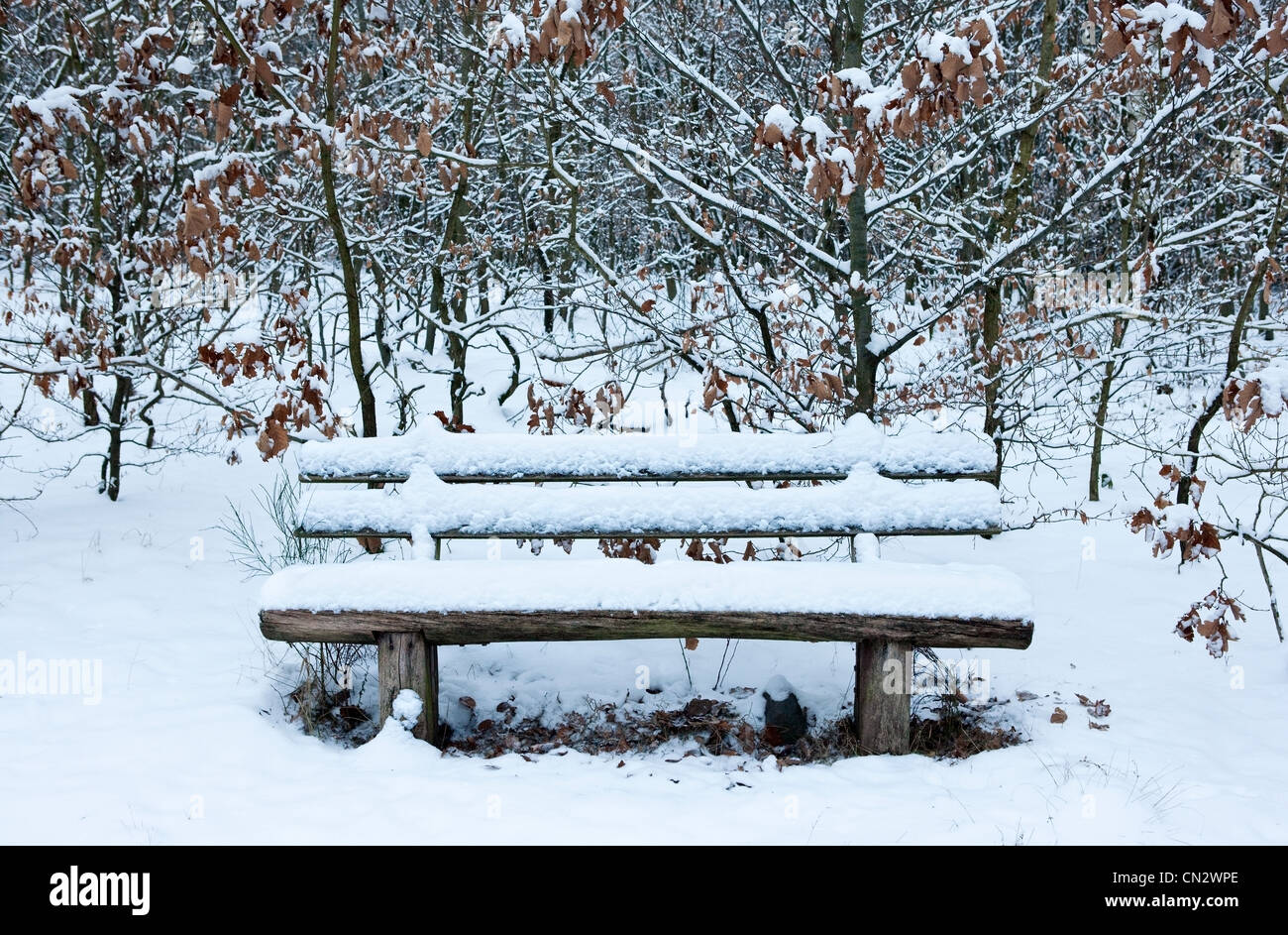 Bench covered in snow Stock Photo - Alamy