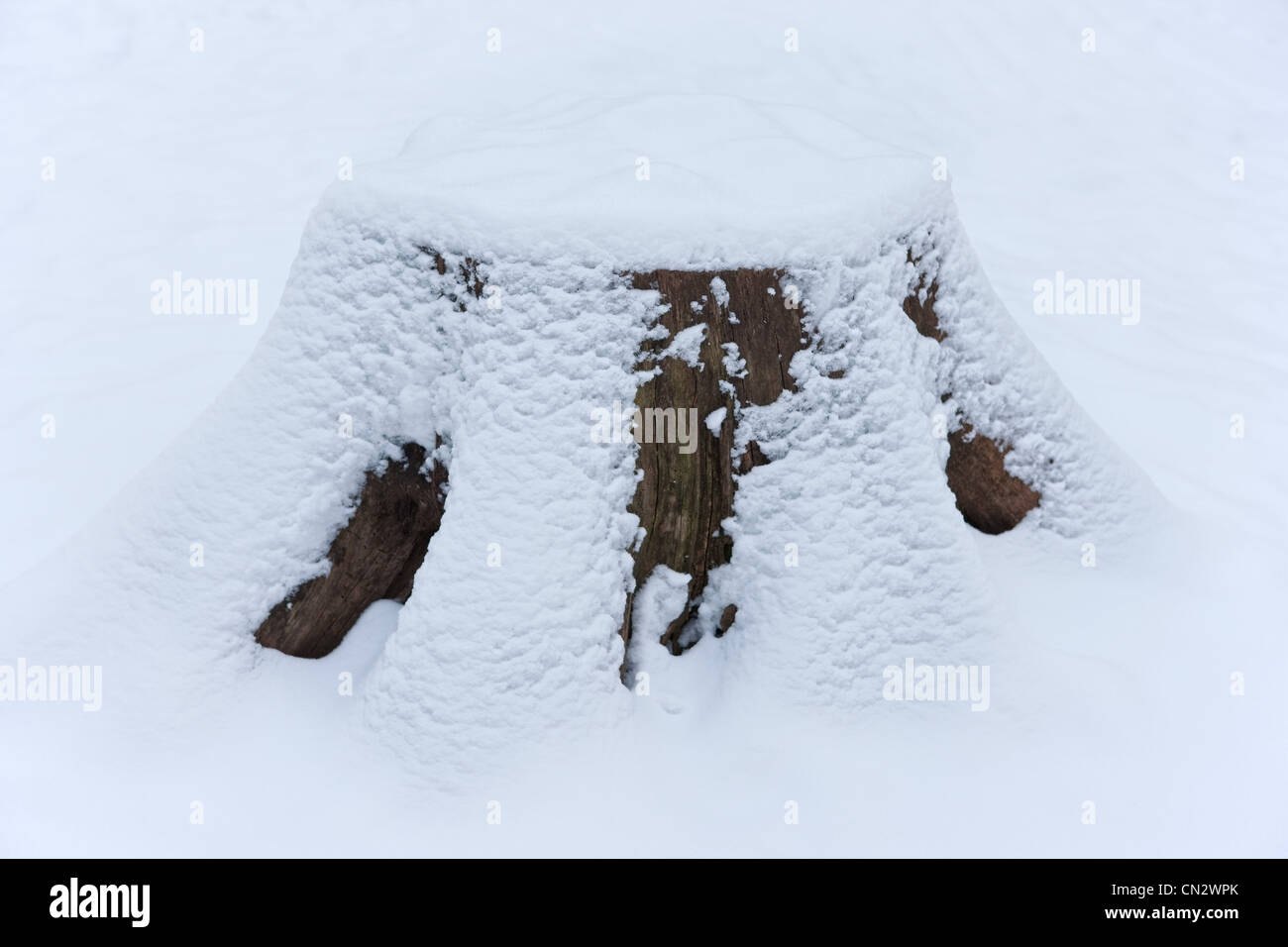 Snow stump hi-res stock photography and images - Alamy