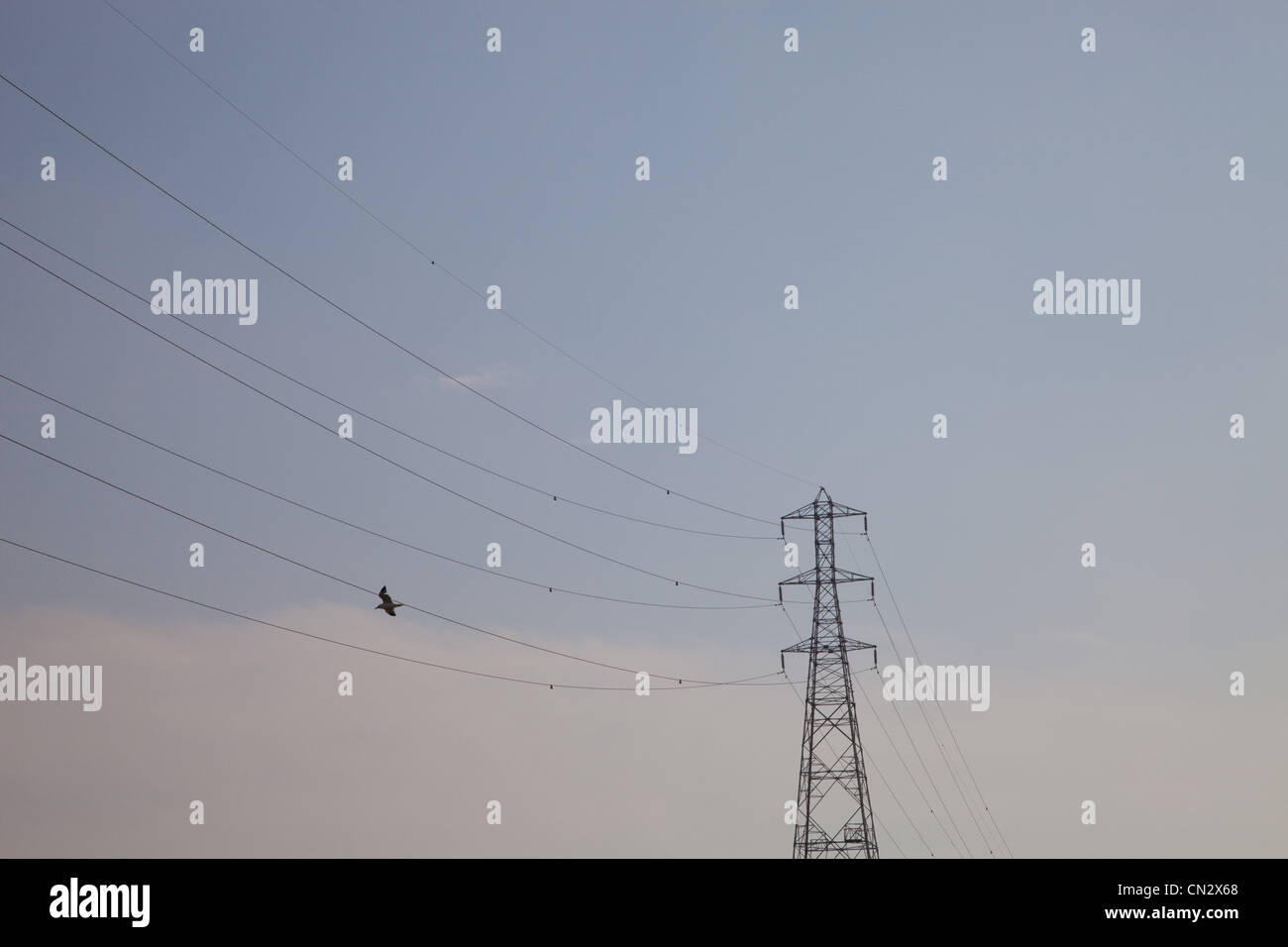 Flying near power line hi-res stock photography and images - Alamy