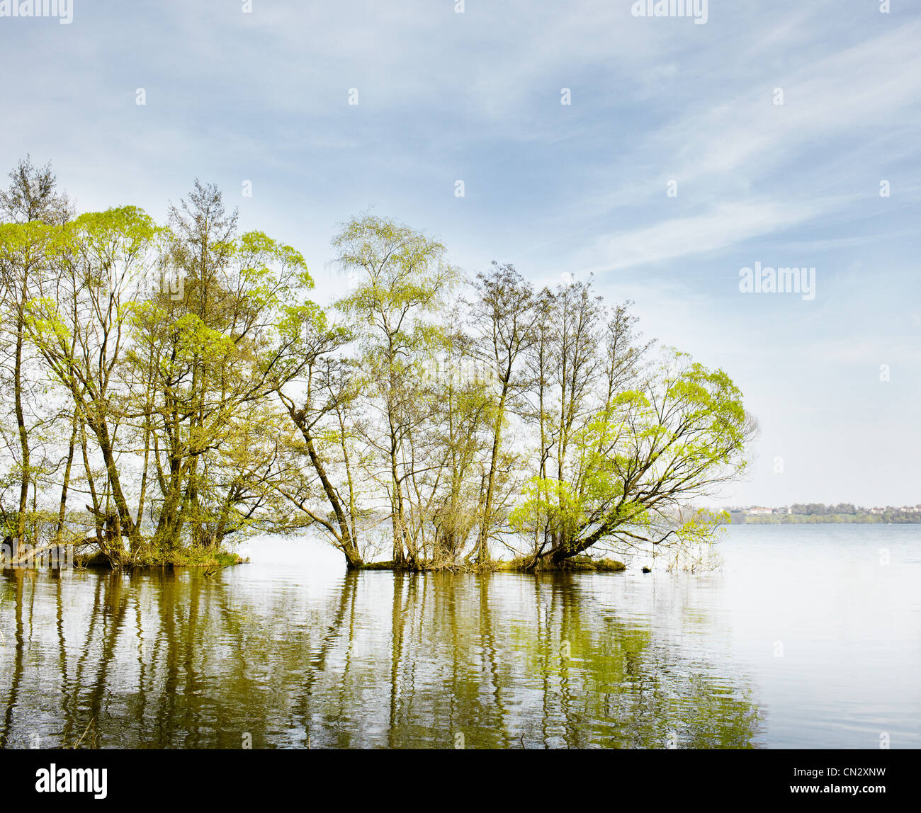 Trees near lake Stock Photo - Alamy