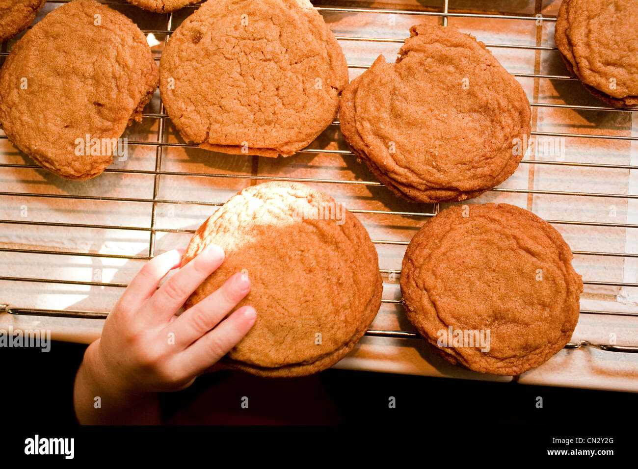 Boy taking freshly baked cookie Stock Photo - Alamy