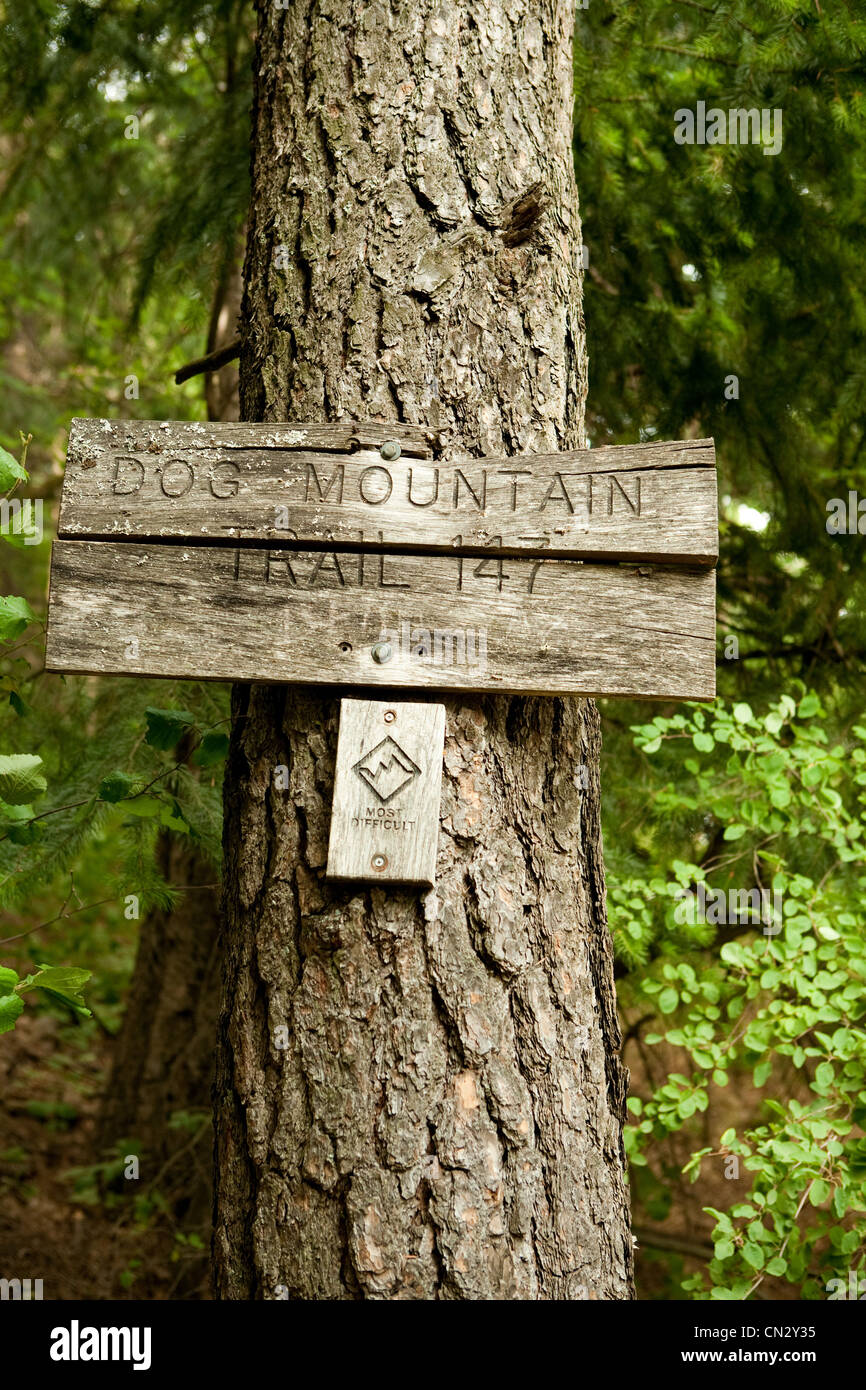 Sign At Tree Stock Photos & Sign At Tree Stock Images - Alamy