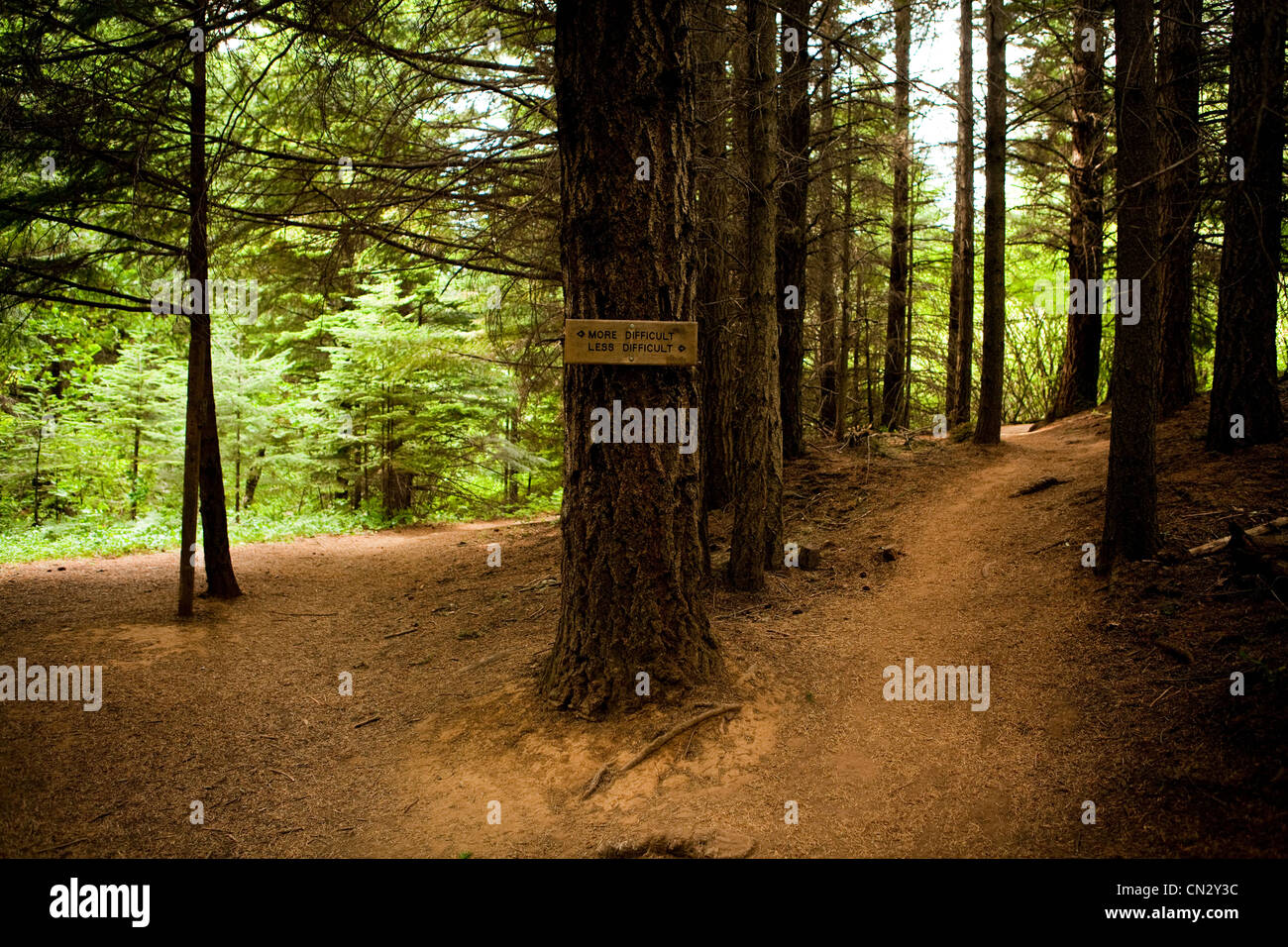 Sign of tree hi-res stock photography and images - Alamy