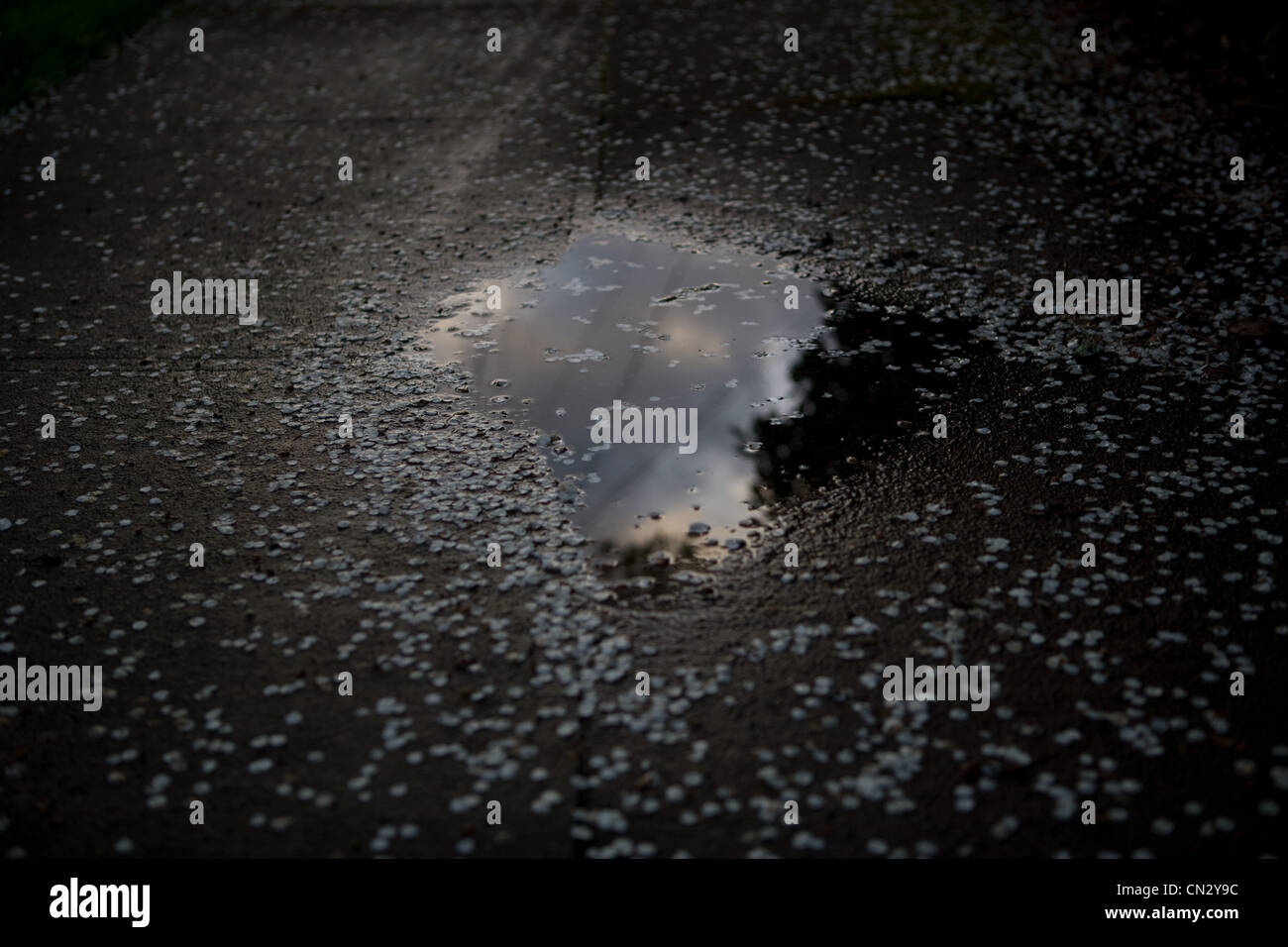 Close up puddle on hi-res stock photography and images - Alamy