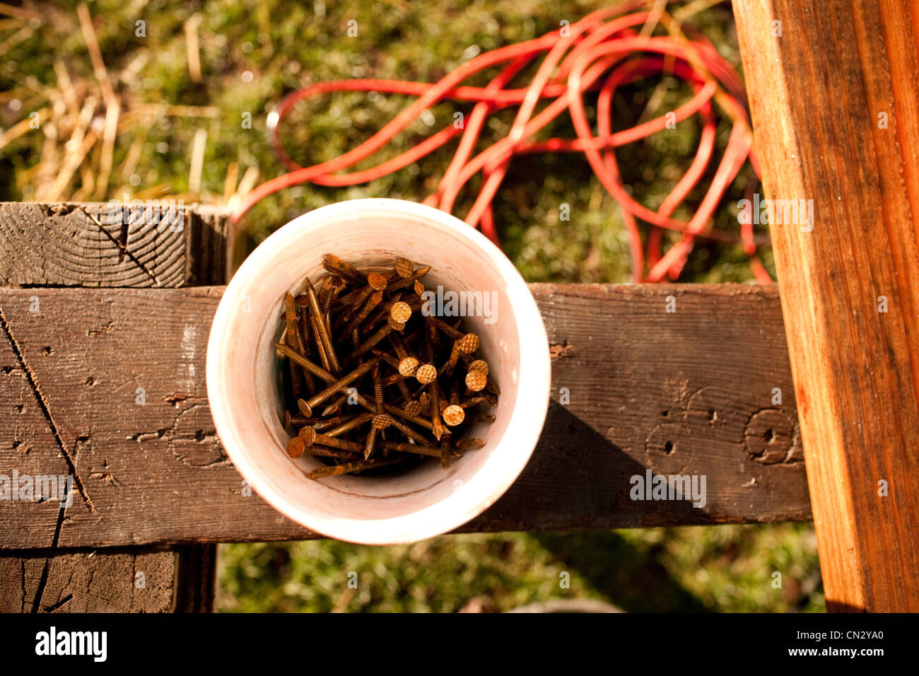 Metal nails in plastic cup, high angle view Stock Photo - Alamy