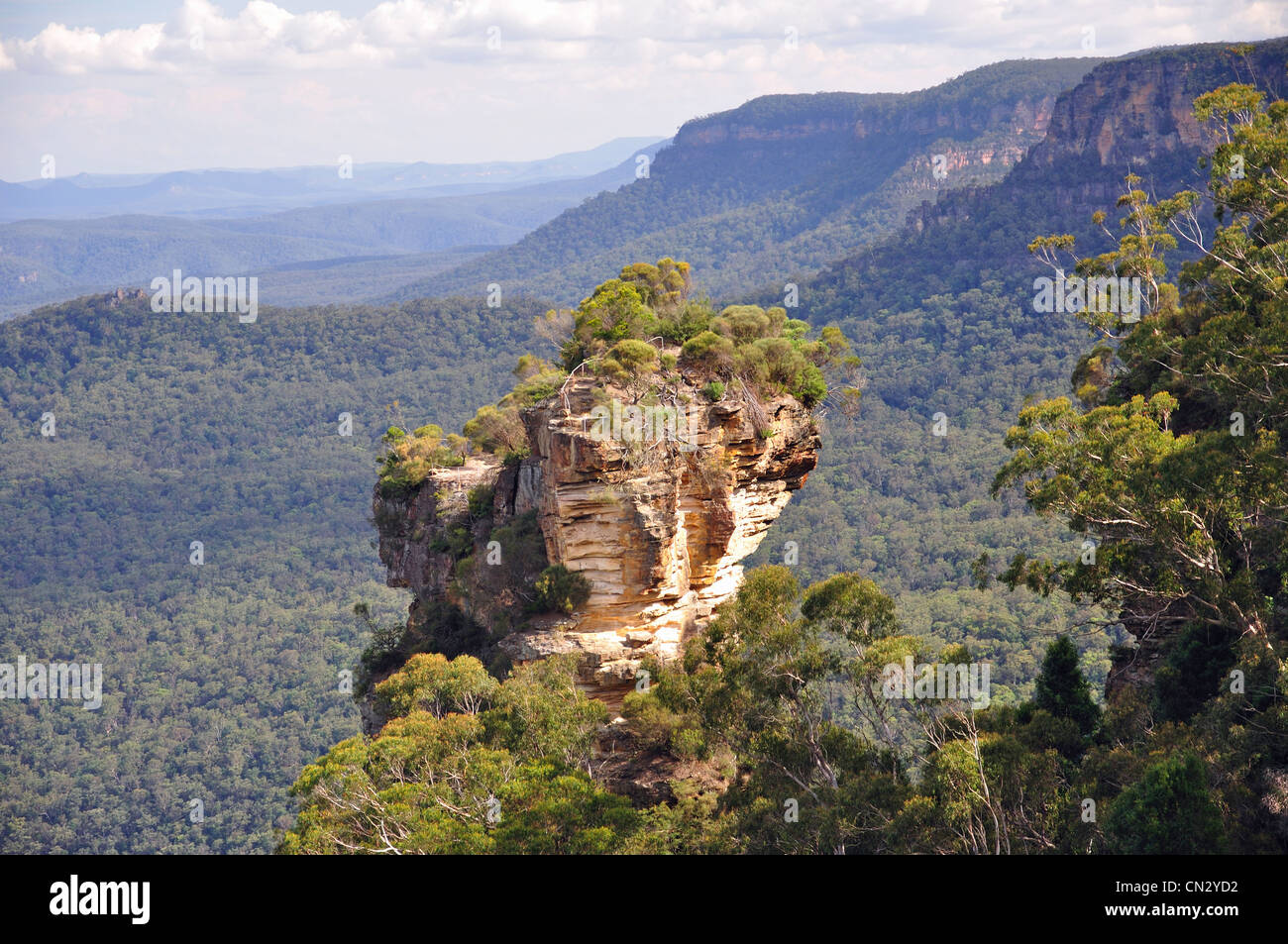 Native of south australia hi-res stock photography and images - Alamy