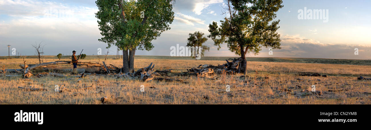 Dove Hunt High Resolution Stock Photography and Images - Alamy