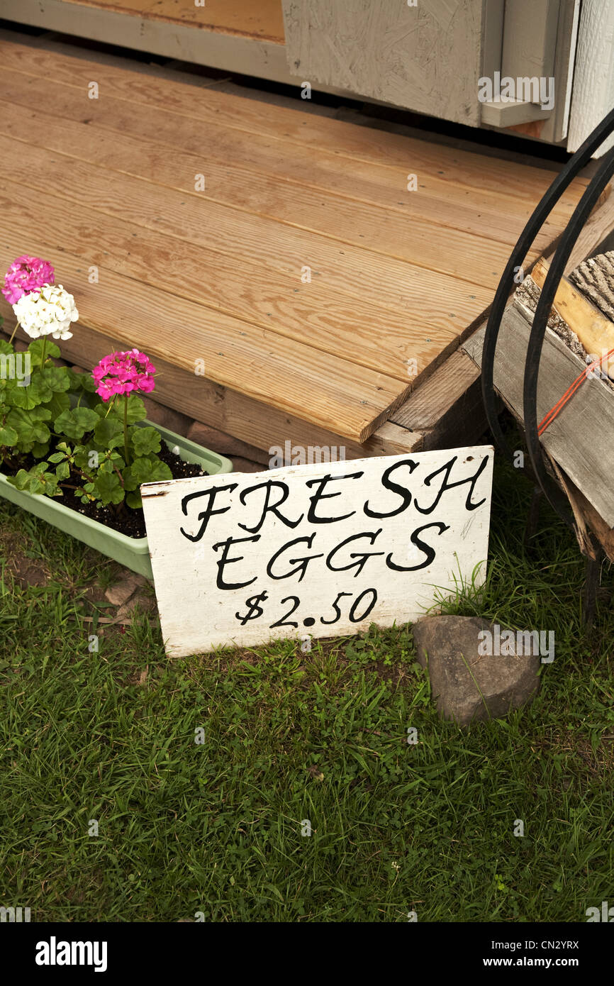 Sign for fresh eggs Stock Photo - Alamy