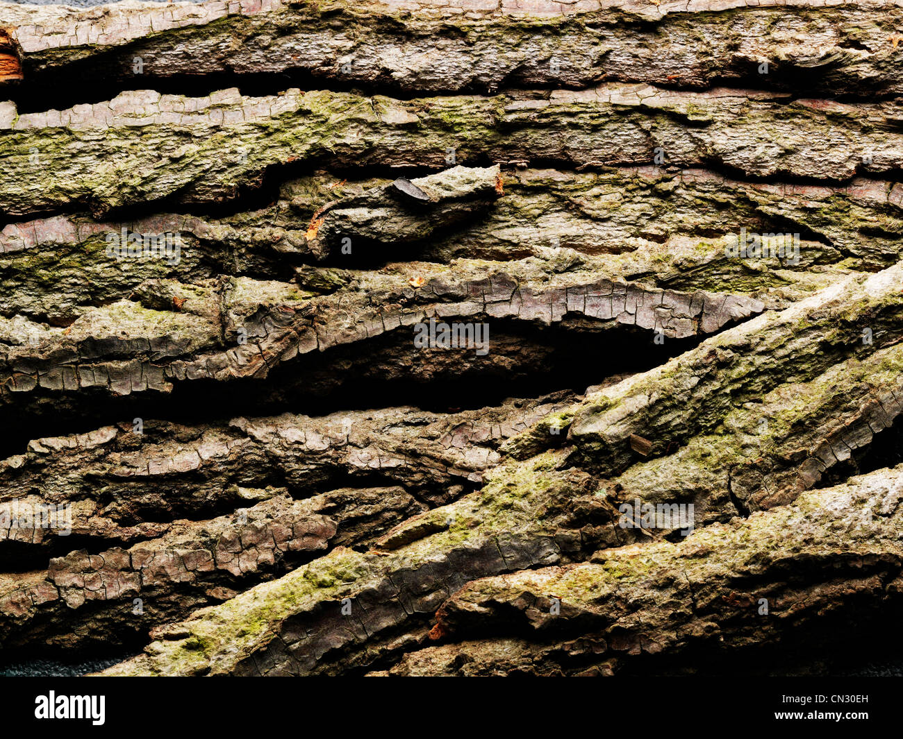 Bark Detail High Resolution Stock Photography and Images - Alamy