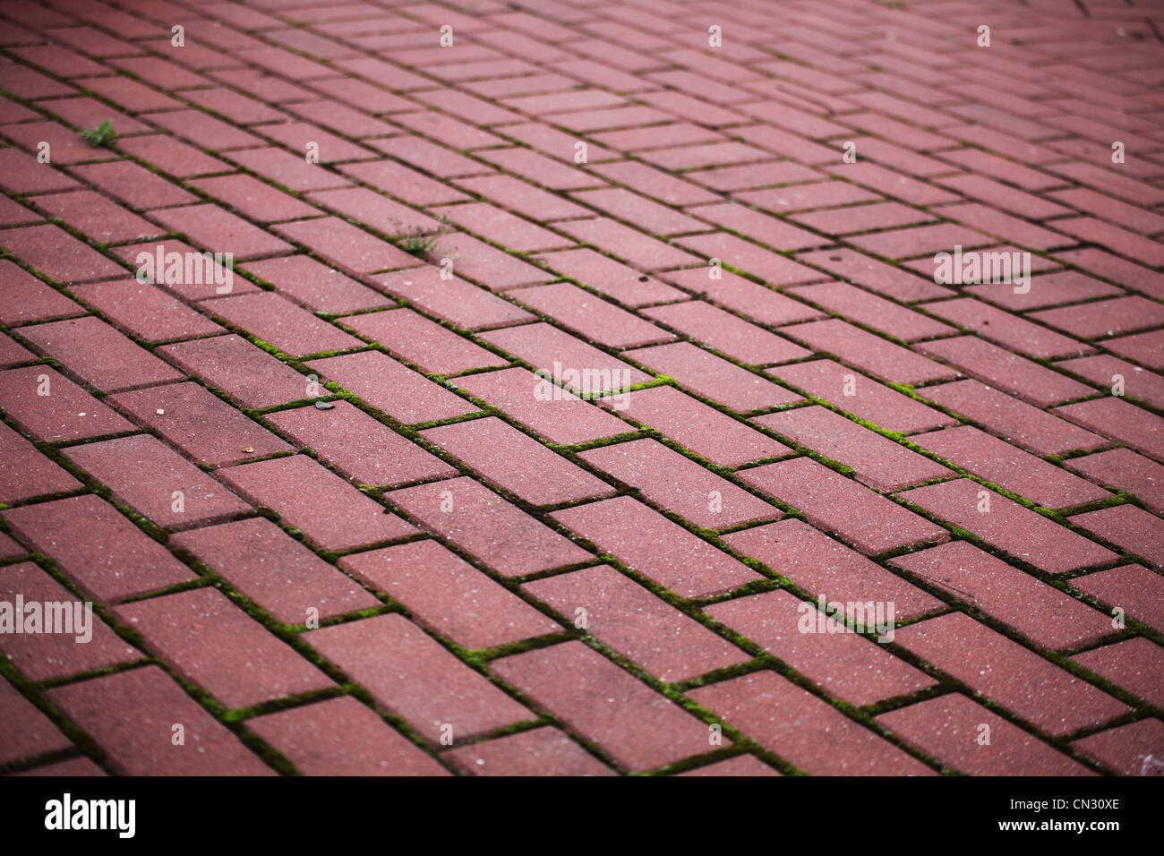 Sidewalk tiles hi-res stock photography and images - Alamy