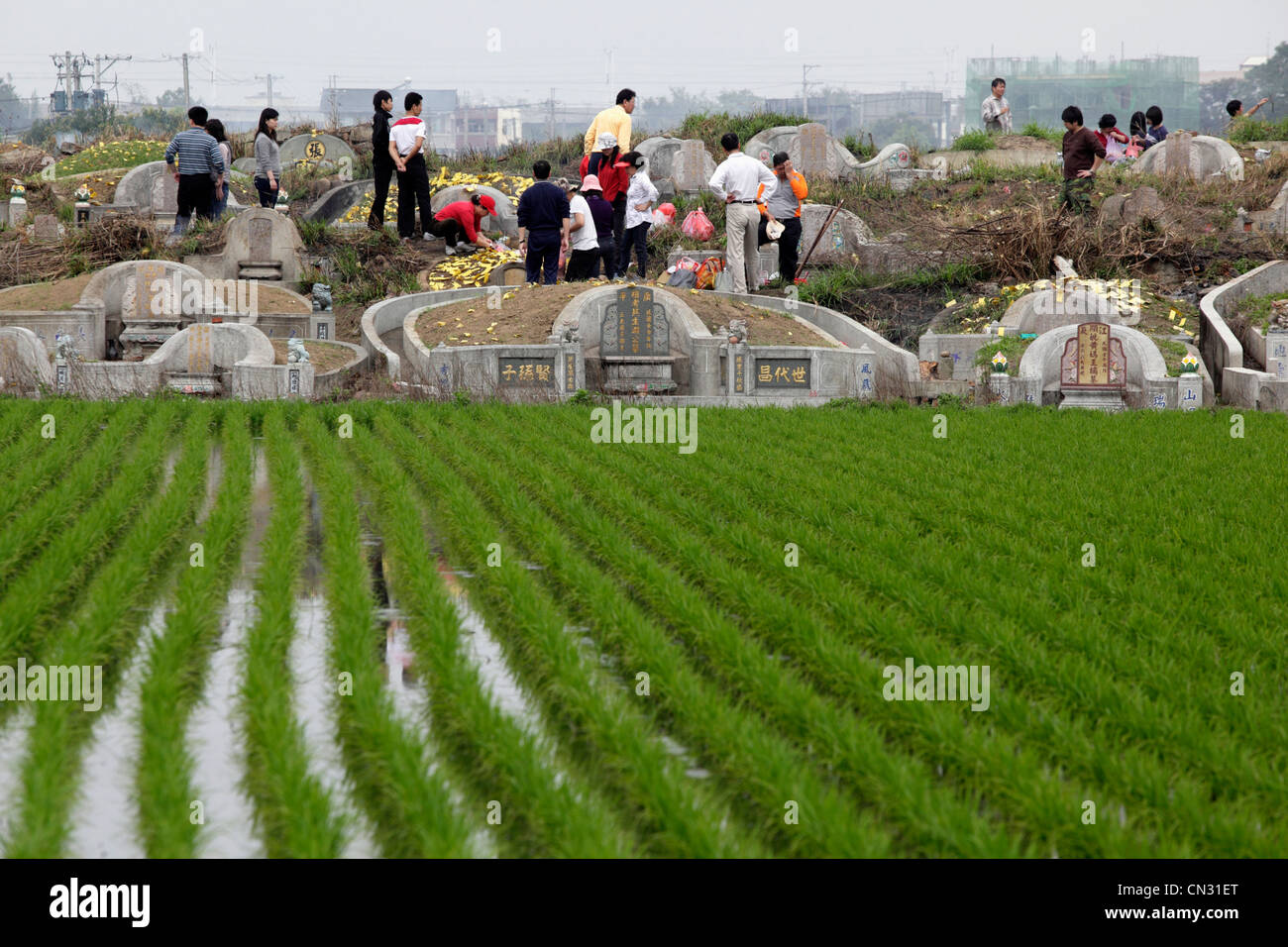 Ching ming festival hi-res stock photography and images - Alamy
