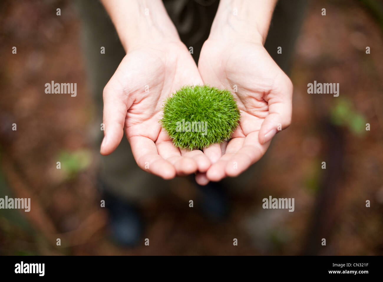 Woman holding moss in palm of hand Stock Photo - Alamy
