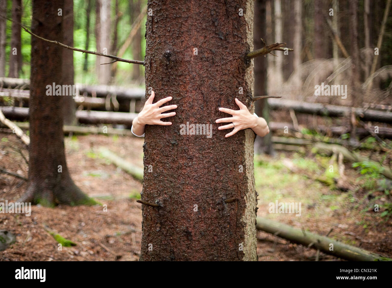 Woman hugging tree trunk Stock Photo - Alamy