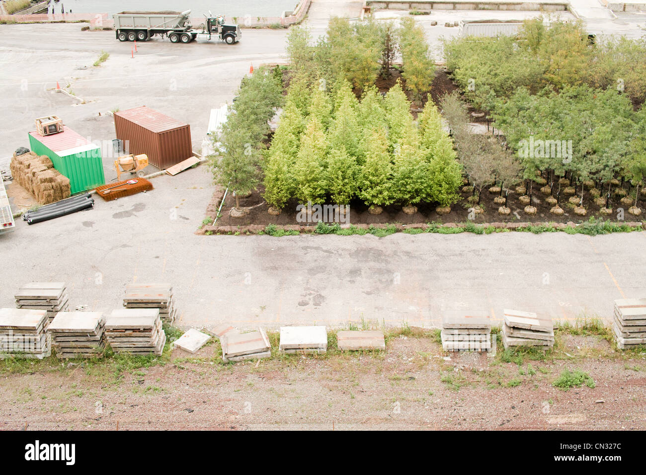 Tree nursery hi-res stock photography and images - Alamy