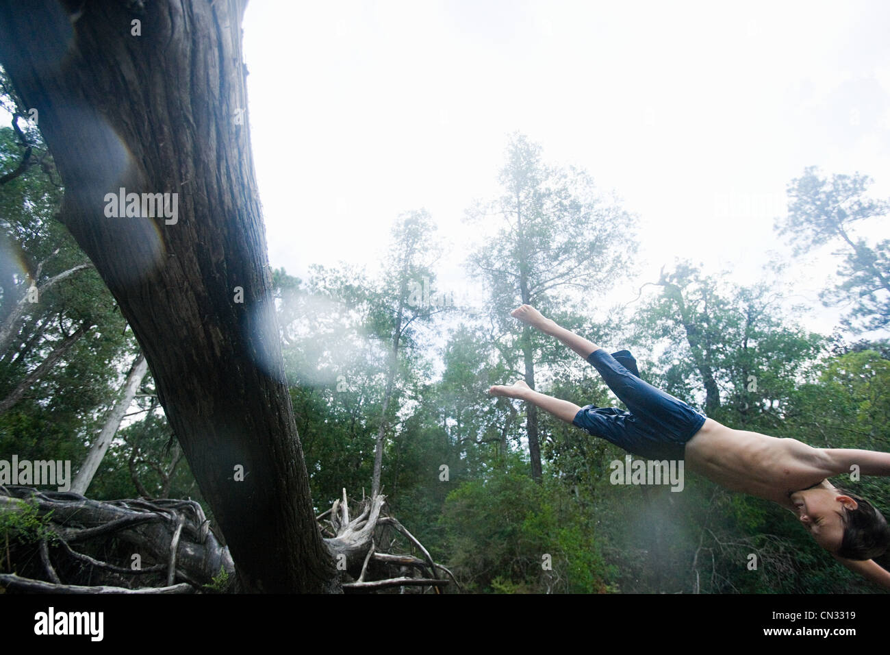 Jumping Off Tree High Resolution Stock Photography and Images - Alamy