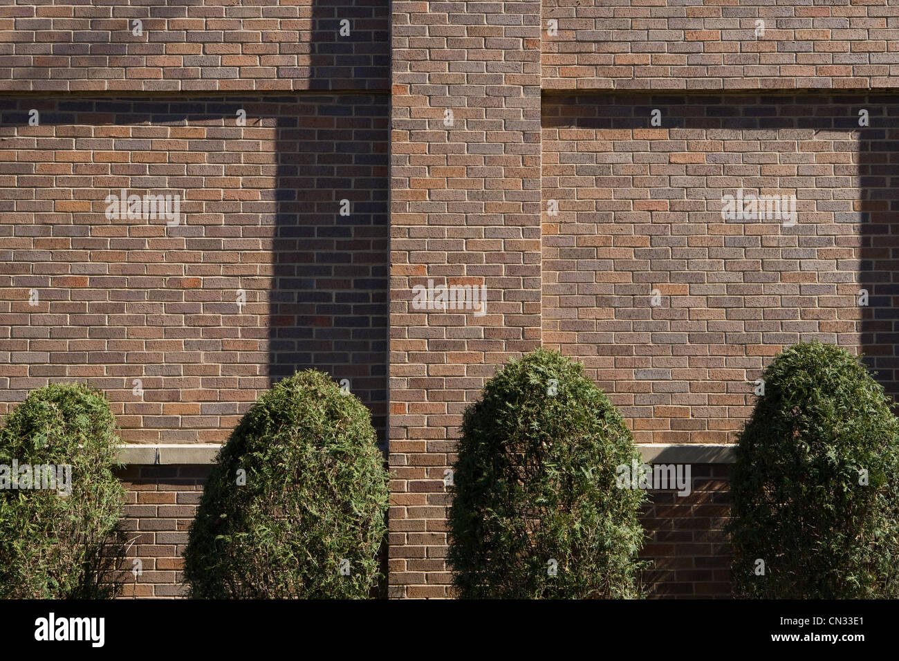 Bushes and brick wall Stock Photo - Alamy