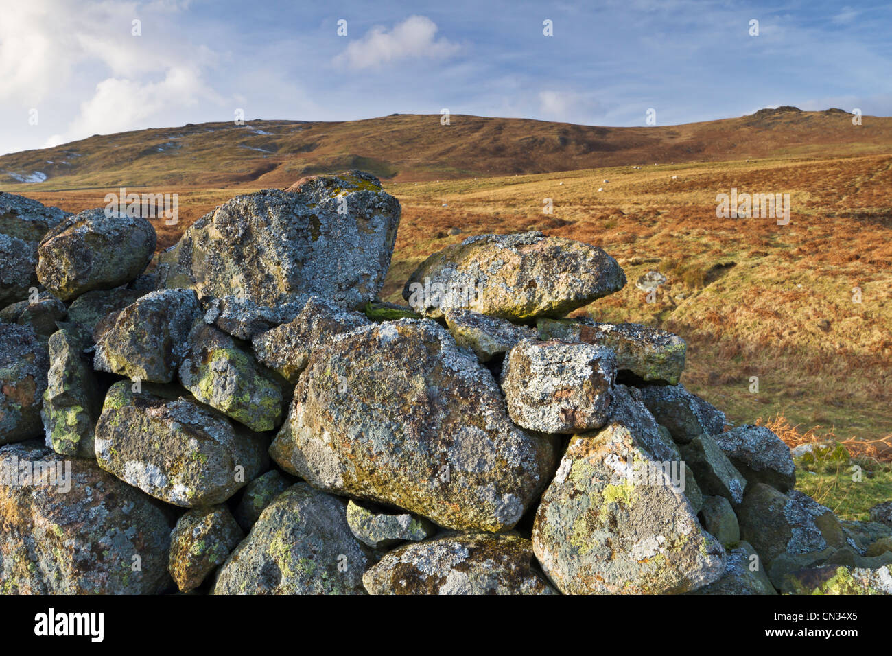 Looking toward Cunyan Crag in the Breamish / Ingram Valley in the ...