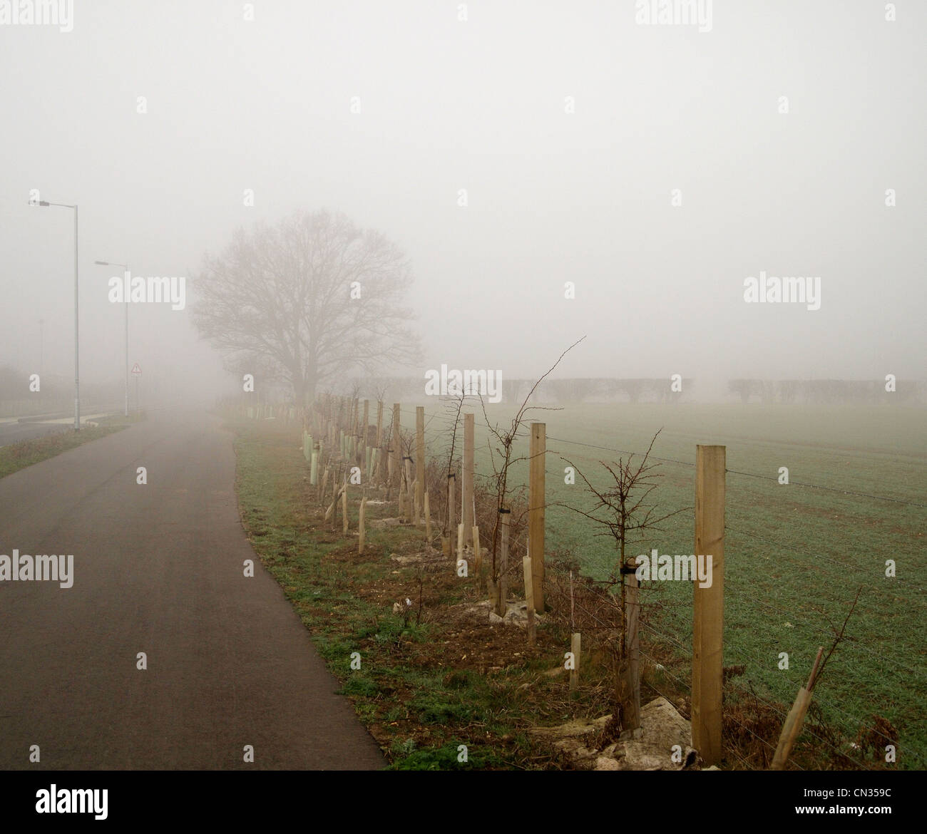 Misty fog field hi-res stock photography and images - Alamy