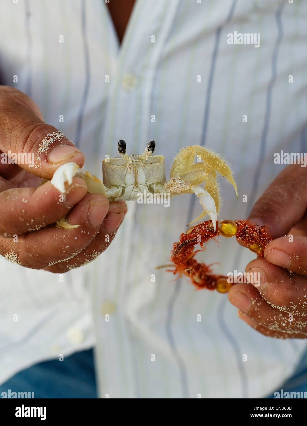 Man Holding Crab High Resolution Stock Photography and Images - Alamy