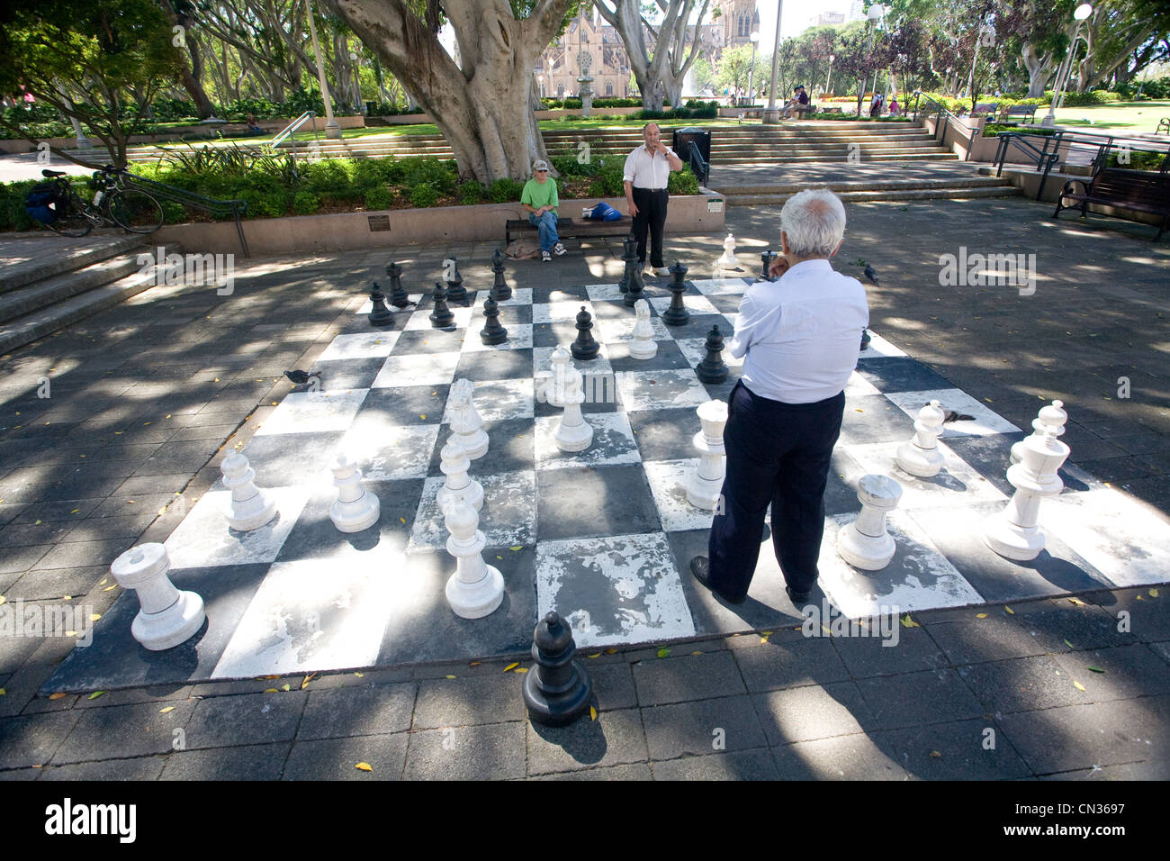 Australia, New South Wales, Sydney, chess players in Hyde Park Stock ...
