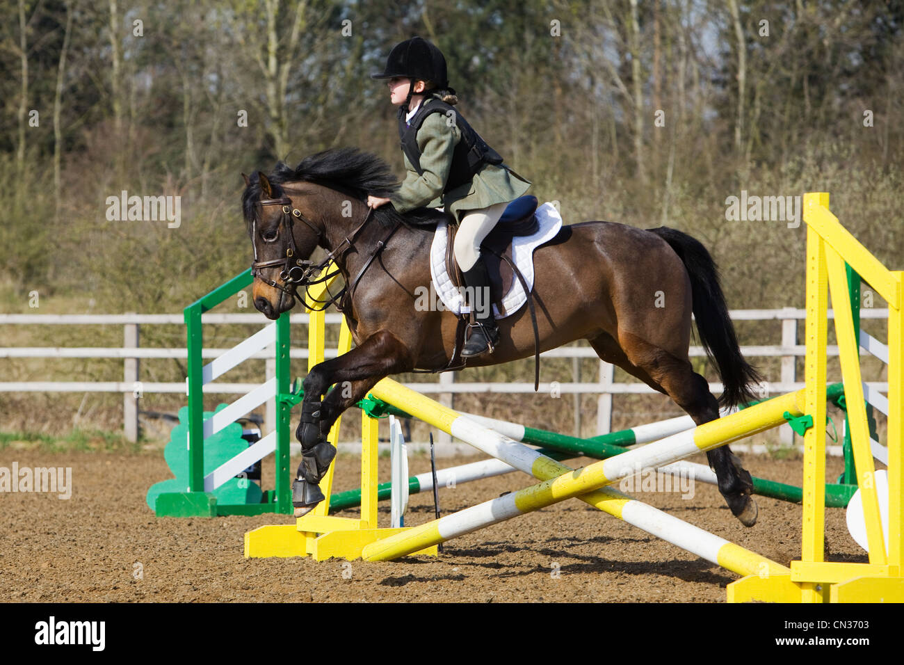 A horse and rider competing in a show jumping event held outside on a ...