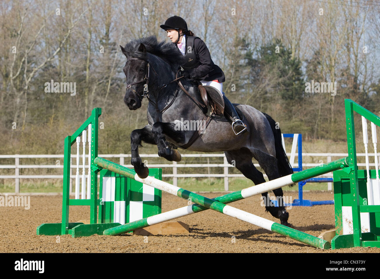 A horse and rider competing in a show jumping event held outside on a ...