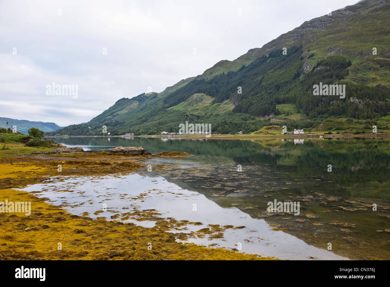 Scotland, Highland Region, Loch Duich Stock Photo - Alamy