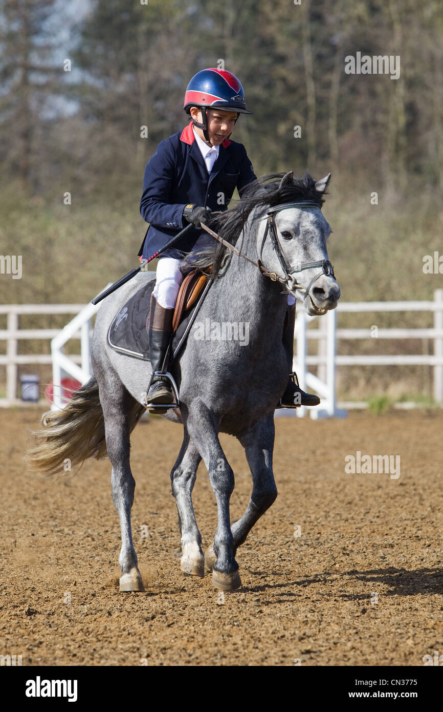 A horse and rider competing in a show jumping event held outside on a ...