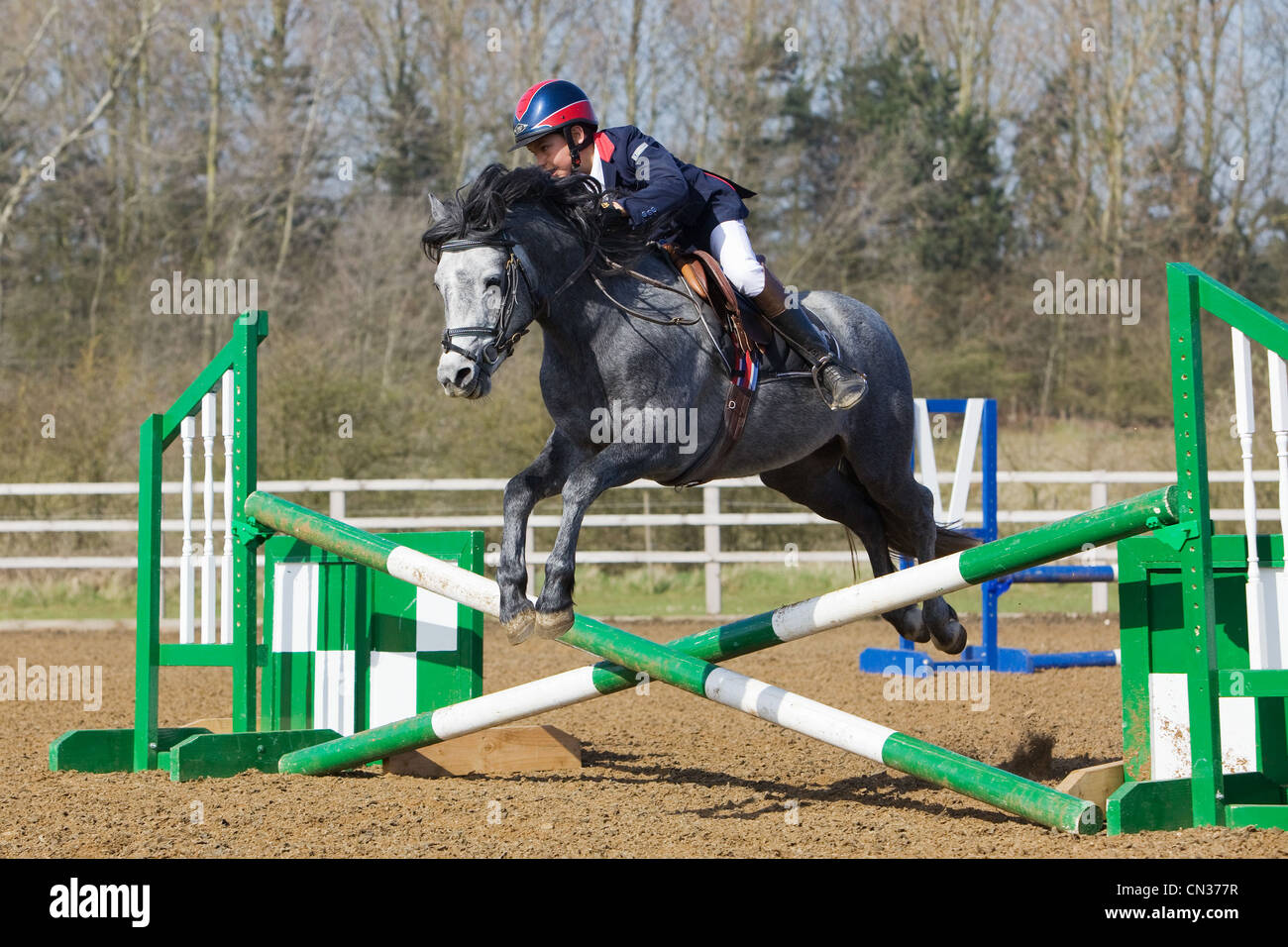 A horse and rider competing in a show jumping event held outside on a ...