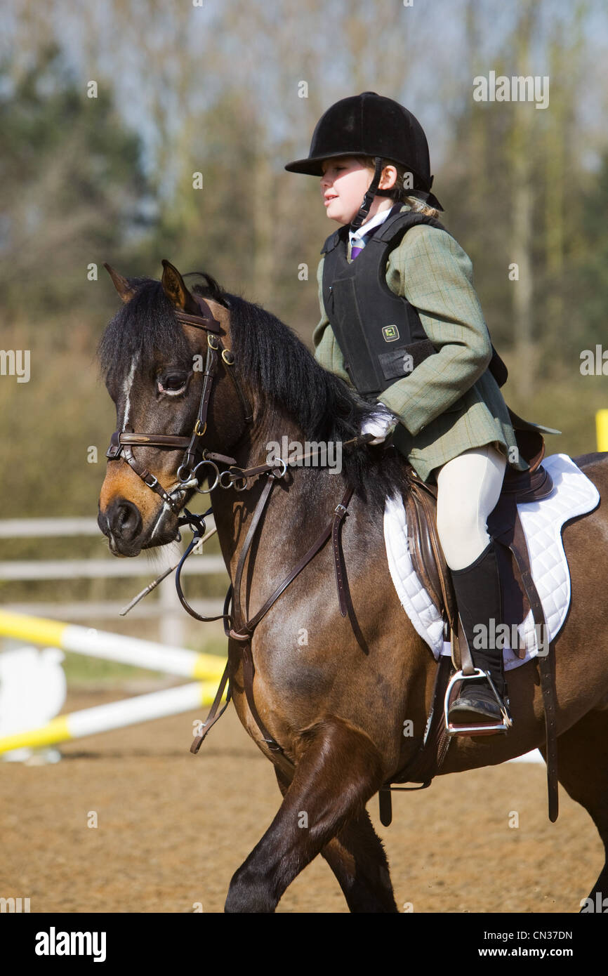 A horse and rider competing in a show jumping event held outside on a ...