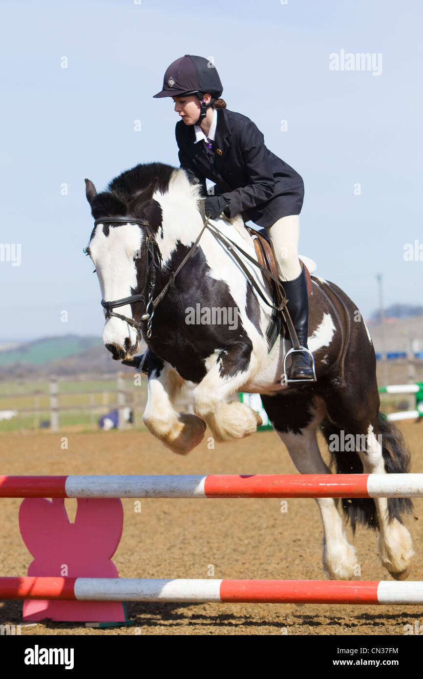 Black And White Paint Horses Jumping