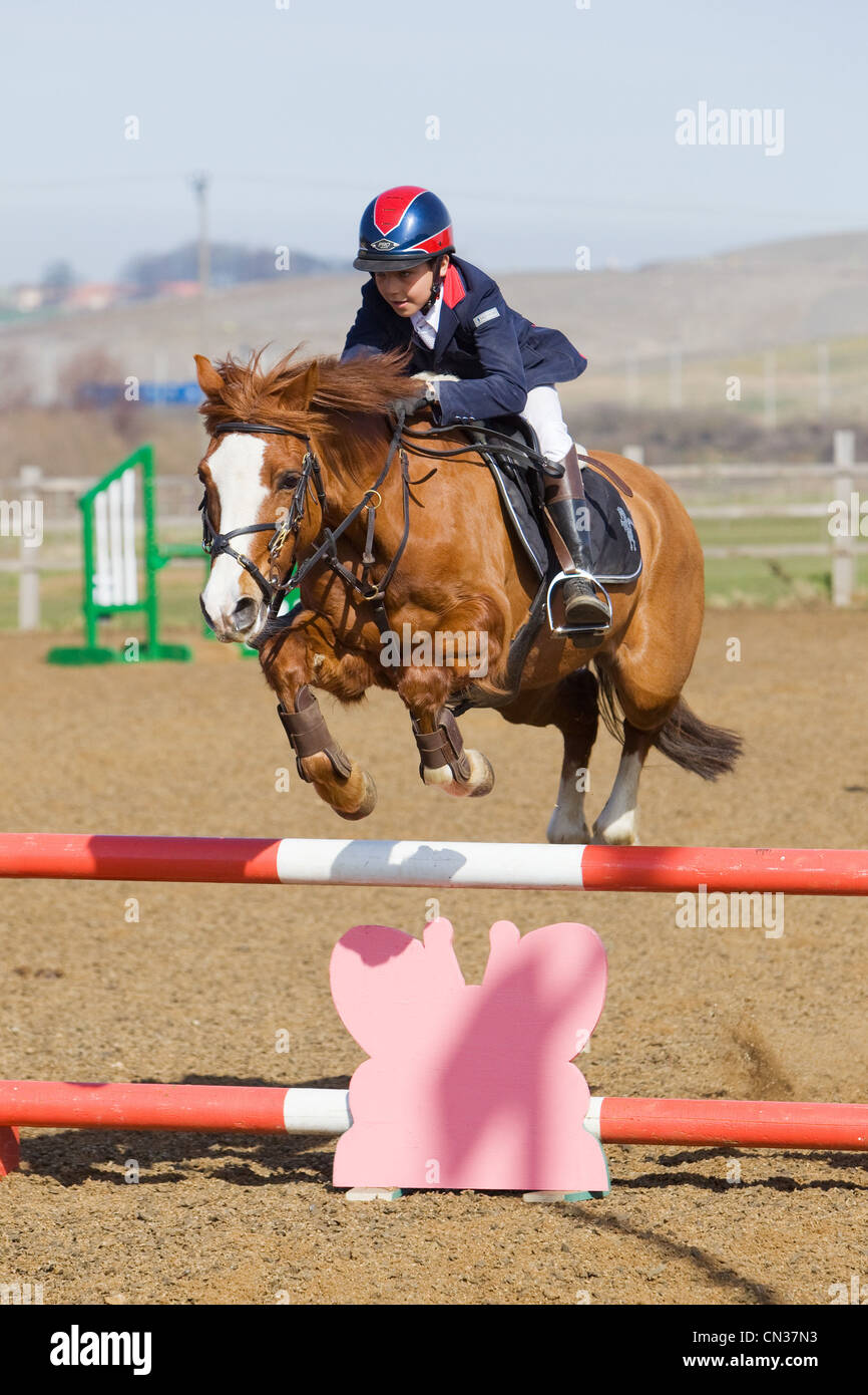 A horse and rider competing in a show jumping event held outside on a ...