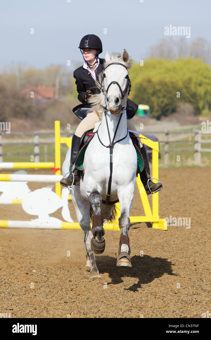 A horse and rider competing in a show jumping event held outside on a ...