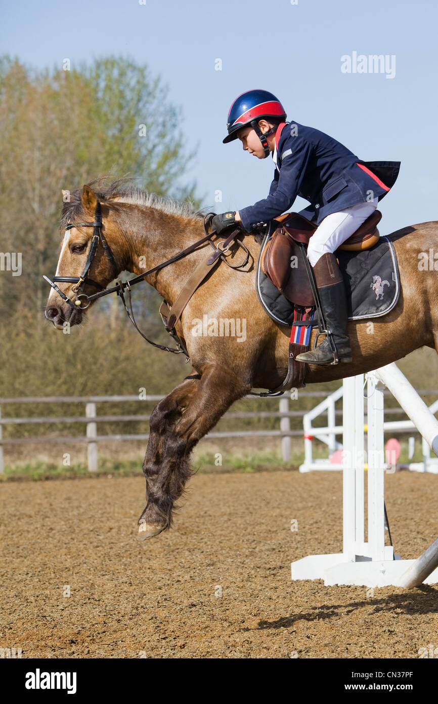 A horse and rider competing in a show jumping event held outside on a ...