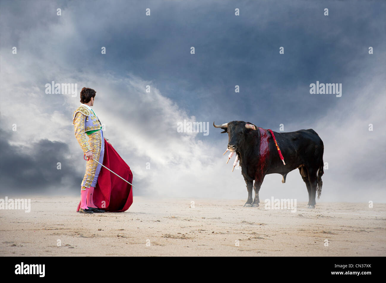 Bull Dust High Resolution Stock Photography and Images - Alamy