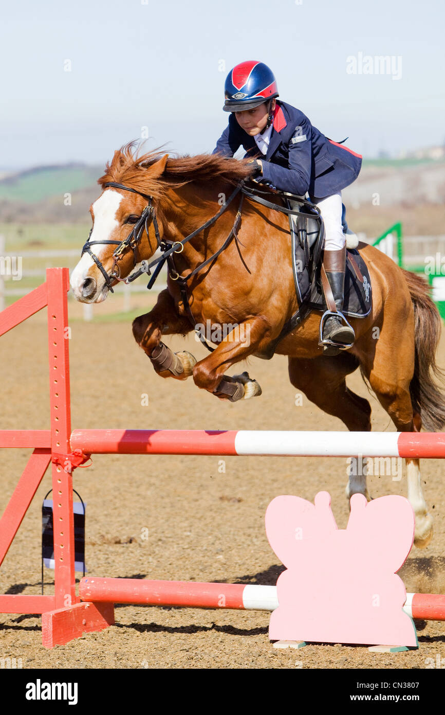 A horse and rider competing in a show jumping event held outside on a ...