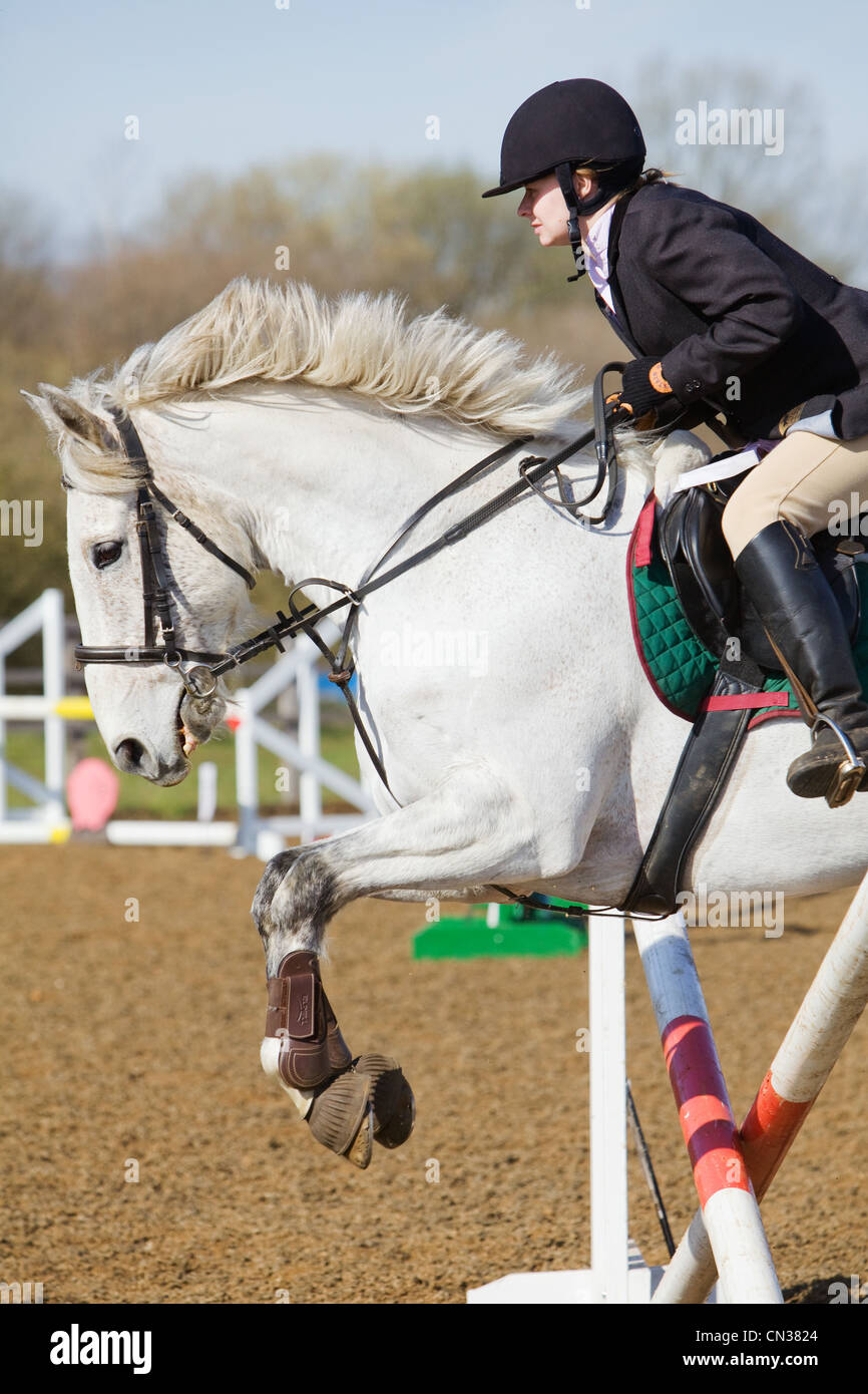 A horse and rider competing in a show jumping event held outside on a ...