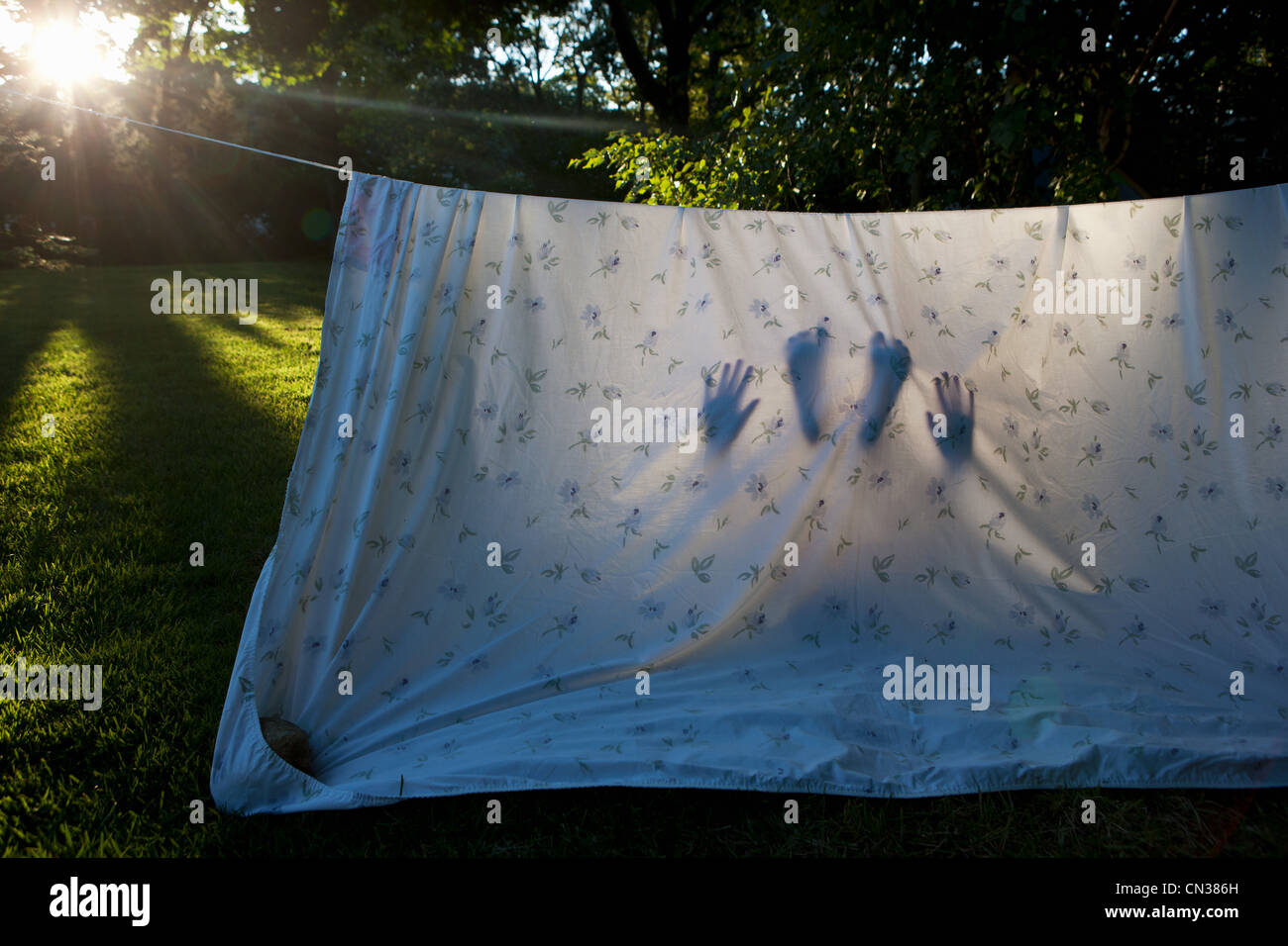 Sheet structures hi-res stock photography and images - Alamy