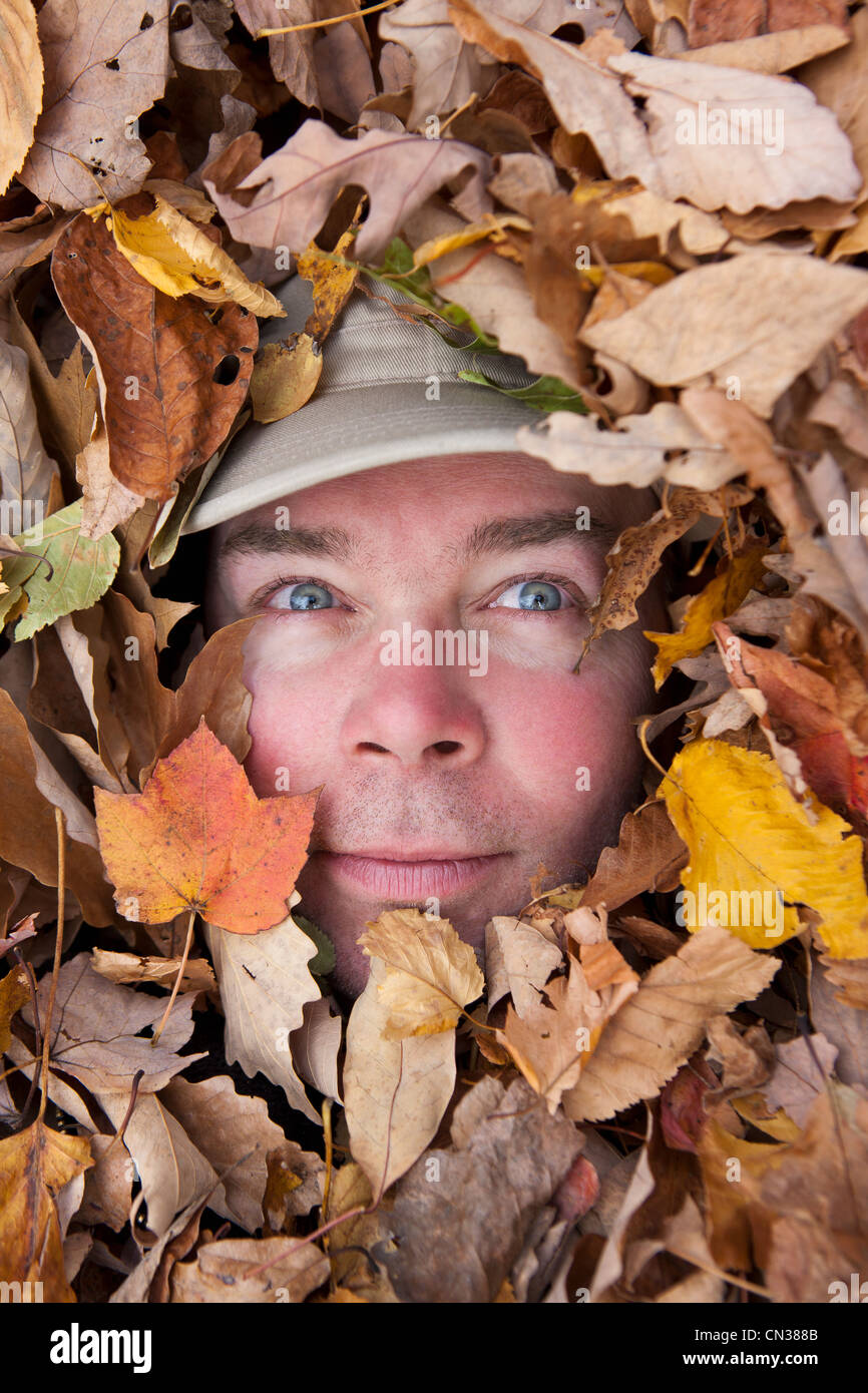 Man's face peering through autumn leaves Stock Photo - Alamy