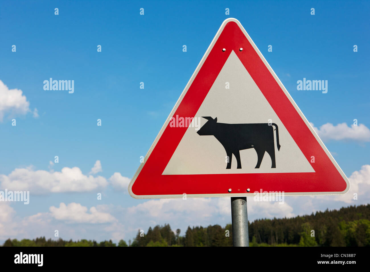 Cow road sign Stock Photo - Alamy