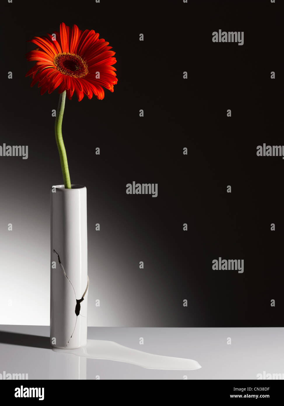 Broken vase hi-res stock photography and images - Alamy