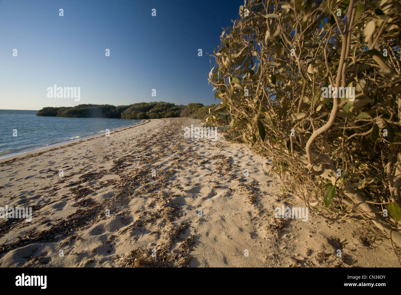 Australia, Western Australia, Ningaloo Coast, listed as World Heritage ...