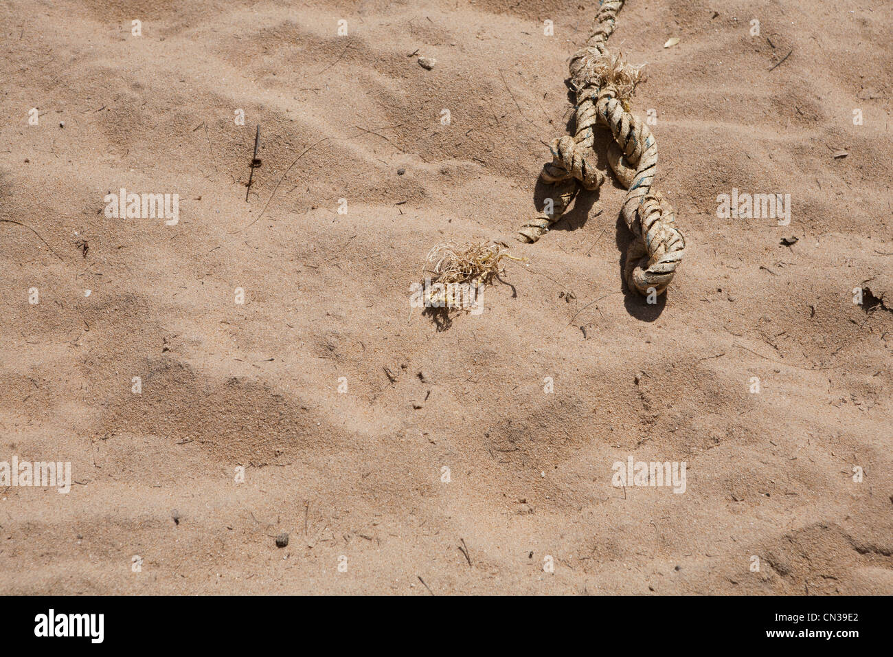Rope in the sand Stock Photo - Alamy